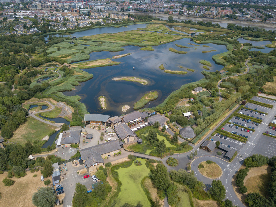 5 Fascinating Things About the London Wetland Centre on its 25th ...